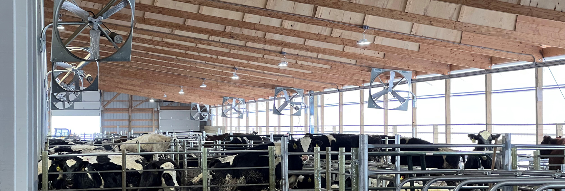 Dairy Ventilation Experts | J&D Manufacturing | Barn Ventilation
